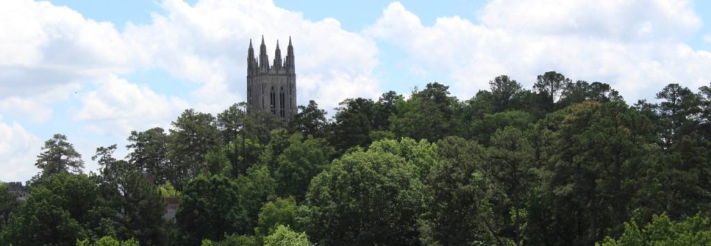 Priyamvada Acharya – The Acharya Lab