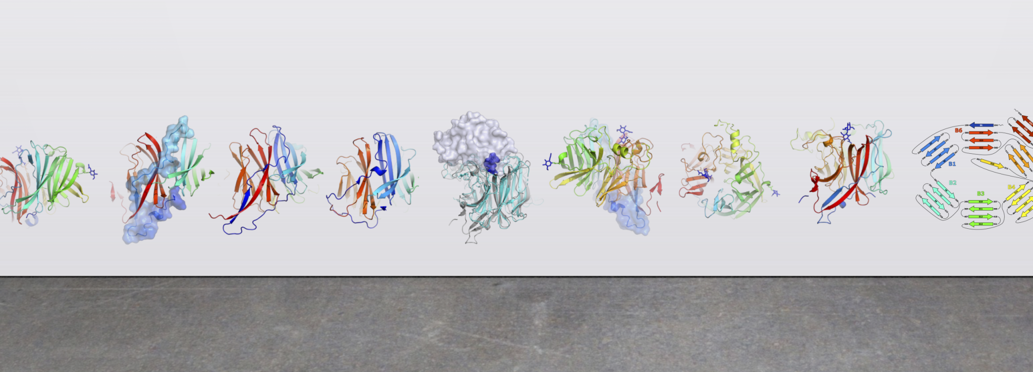 Protein Crystallography – The Acharya Lab