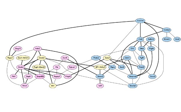 FOCI Network – Capel Lab