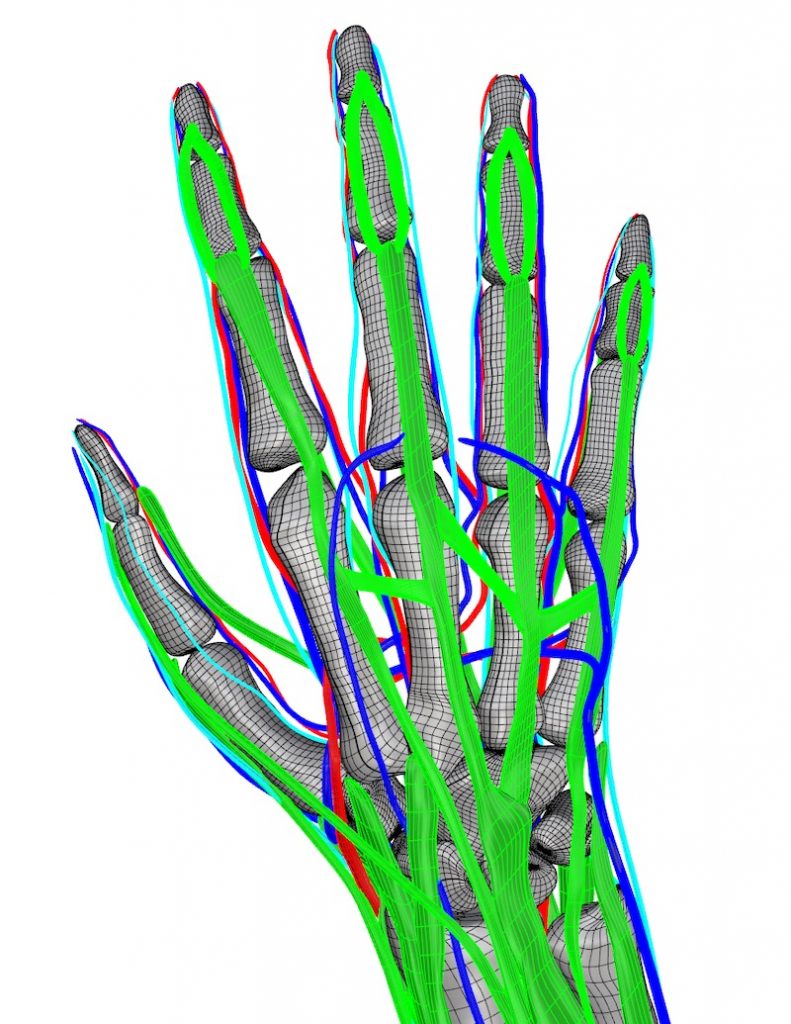 Forums - CVIT - Center for Virtual Imaging Trials