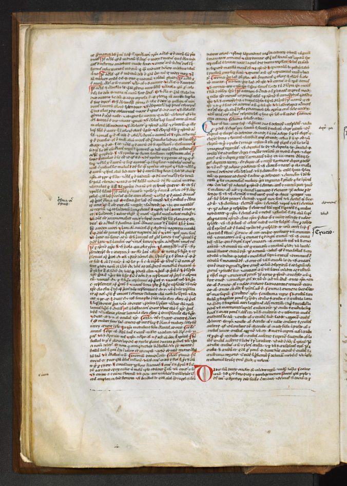 Dante’s Dictionary: Uguccione da Pisa, Derivationes – Dante's Library