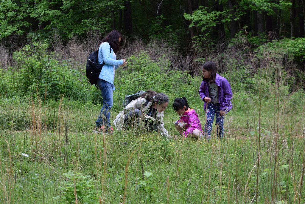 News | The Donohue Lab