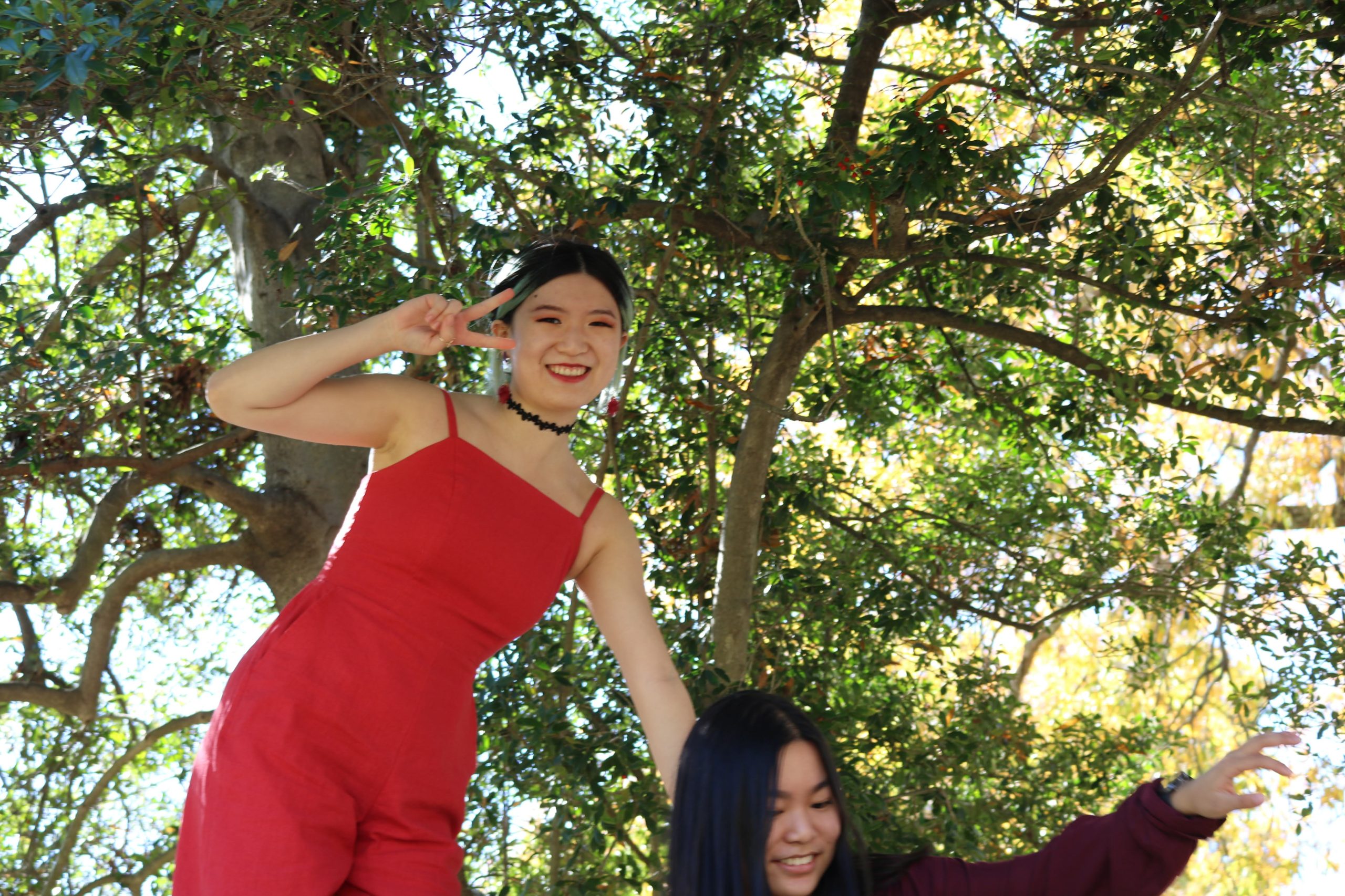 Duke Chinese Dance – Premier Dance Group at Duke