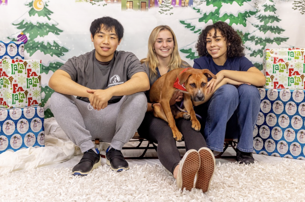 Duke PAWS – Promoting Animal Welfare through Service in Durham and the ...