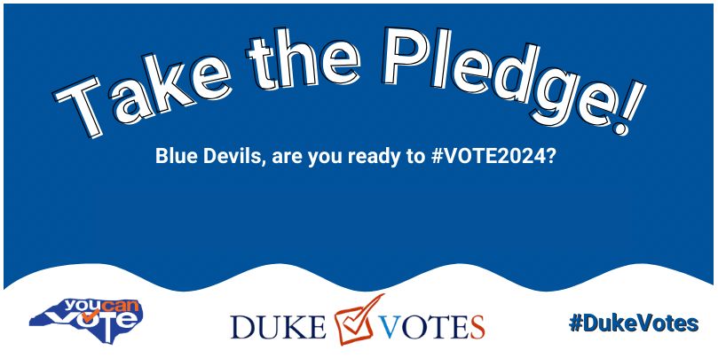 Pledge to Vote - Votes