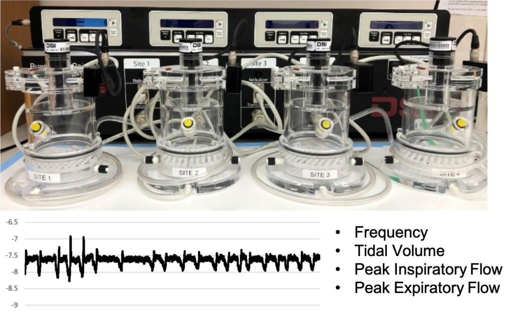 Respiratory Physiology - ElMallah Lab