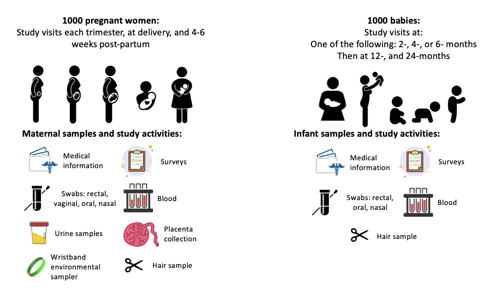 Study Activities – Project HOPE 1000