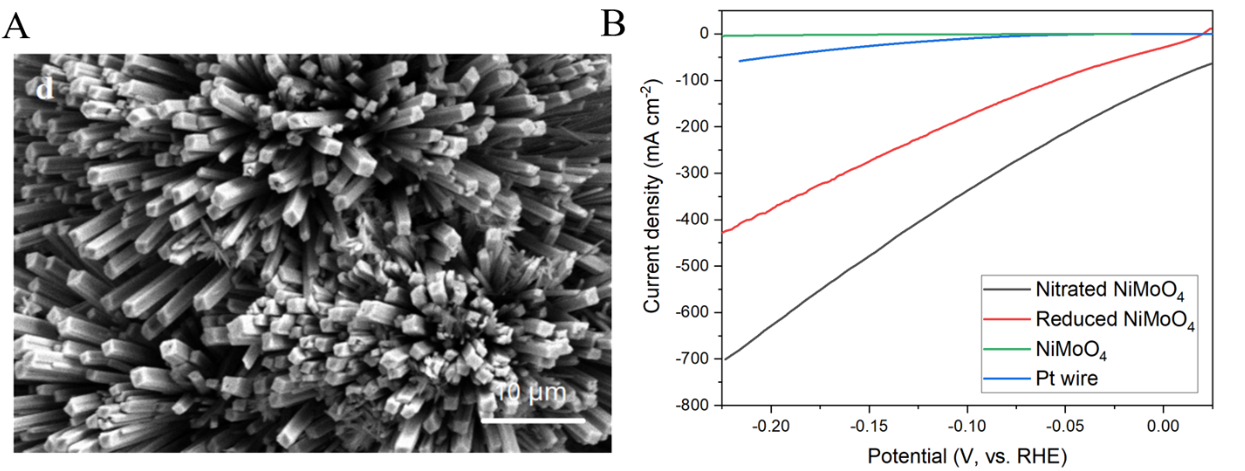 Electrocatalysis – LIU LAB