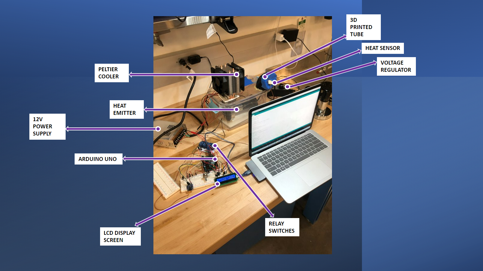 integrated system – Duke MEMS: Experiment Design and Research Methods