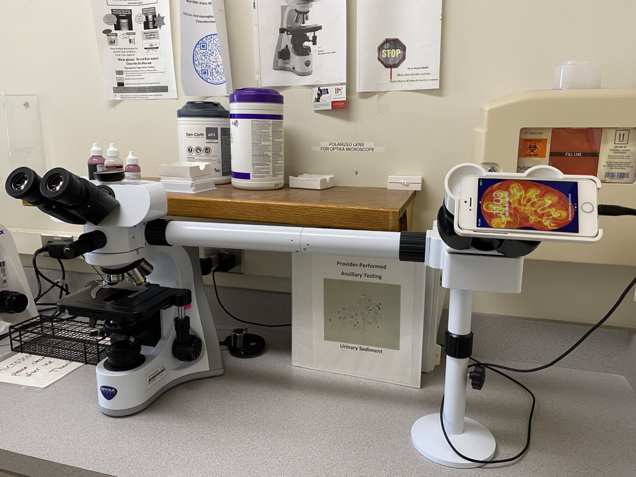 Urine Microscopy – Duke Nephrology Fellowship Curriculum