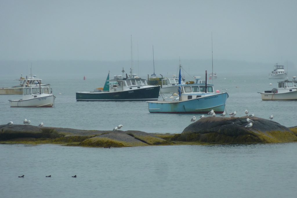 Community and Environment in Marine Spatial Planning – This site ...