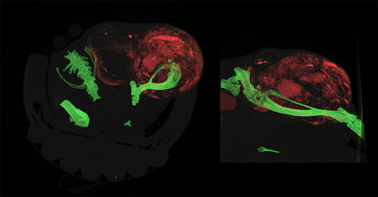 MCR Toolkit | Quantitative Imaging and Analysis Lab