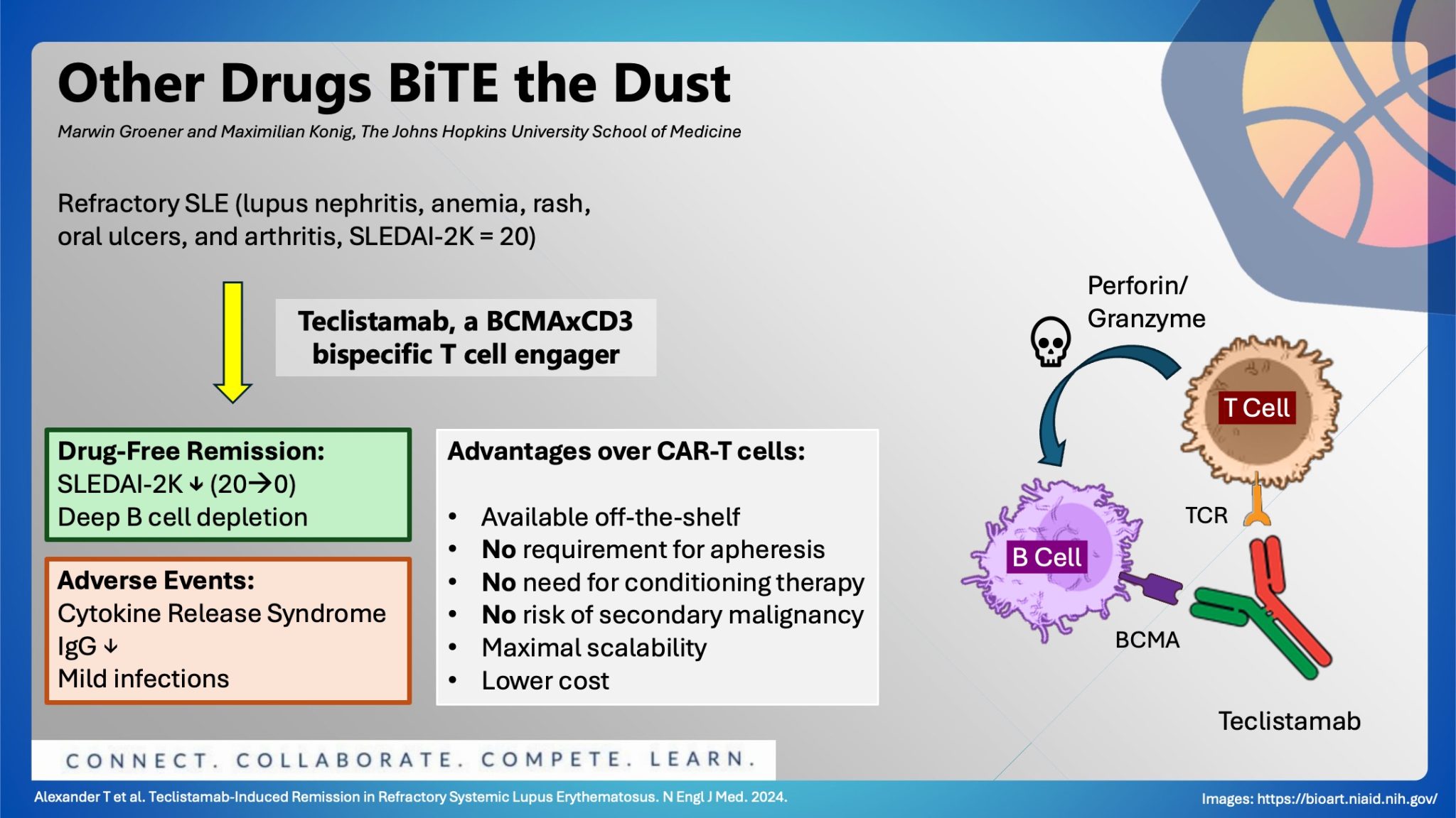 Bispecific T-cell engagers - RheumMadnessRheumMadness