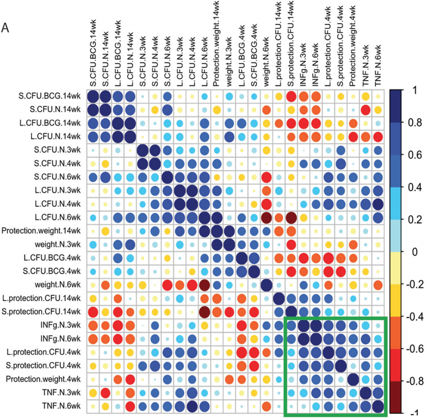Publications | The Smith Lab