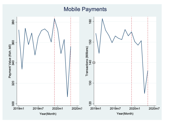 FinTech and the COVID-19 Pandemic: Evidence from Electronic Payment ...