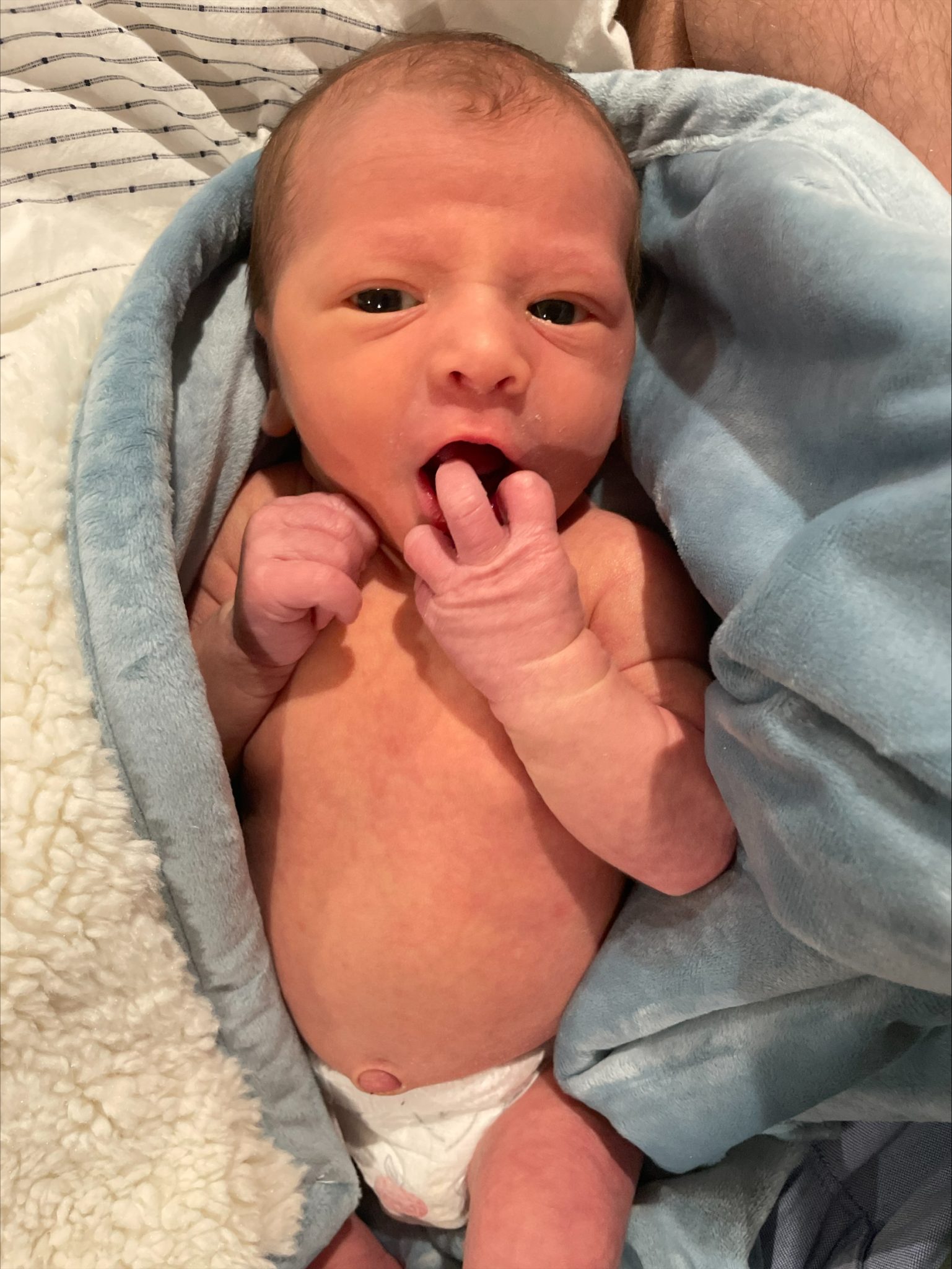 The Pulse – Powered by Duke Heart – Updates, Accolades, and Events with ...