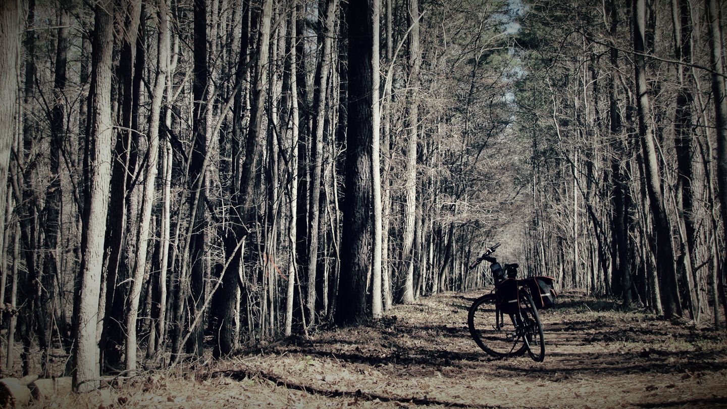 Alejandro Berrio Escobar – Wray Lab