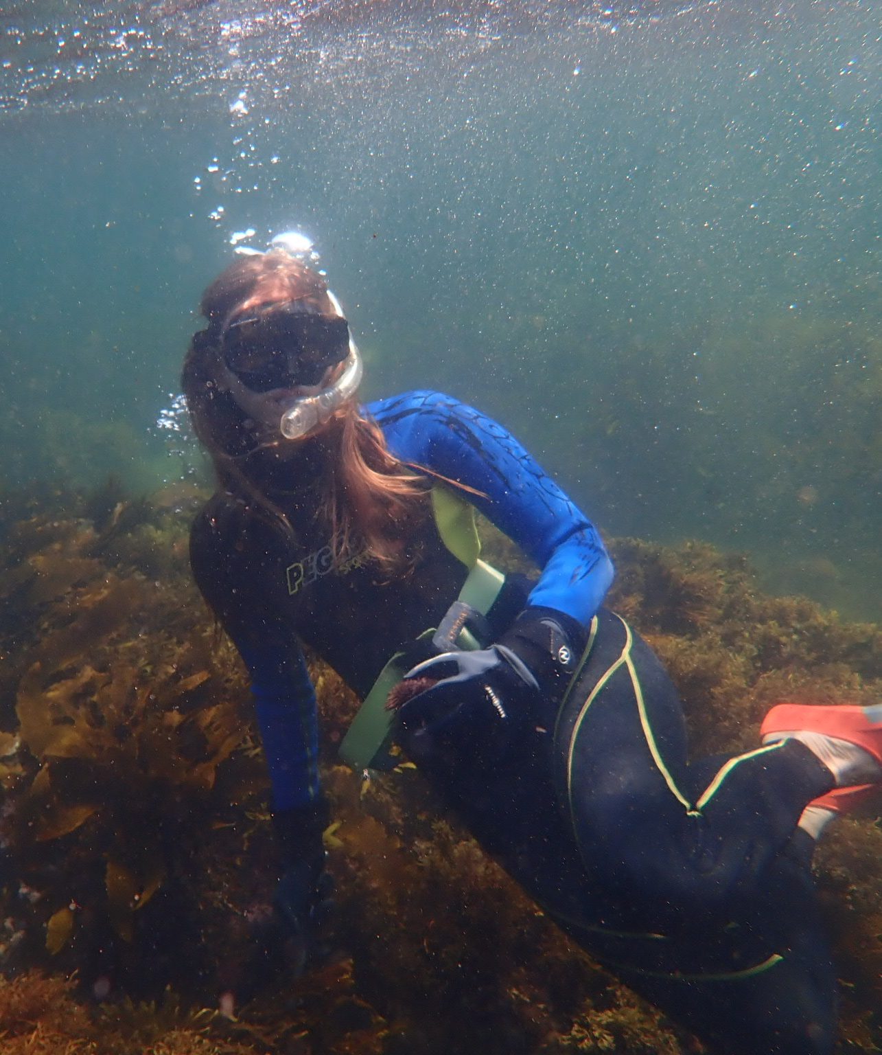 Jane Swart – Wray Lab