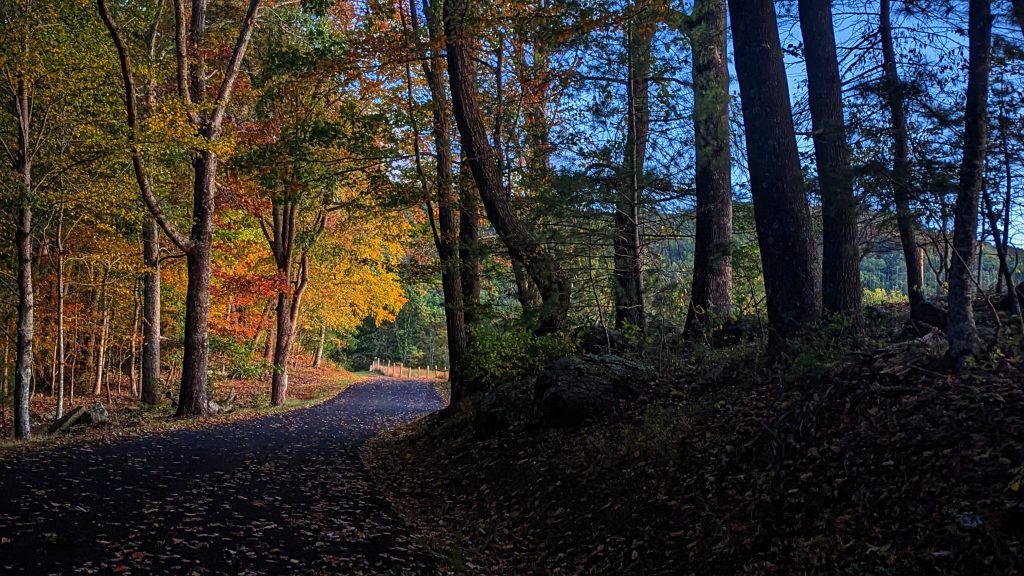 Retreat to the mountains – Wray Lab